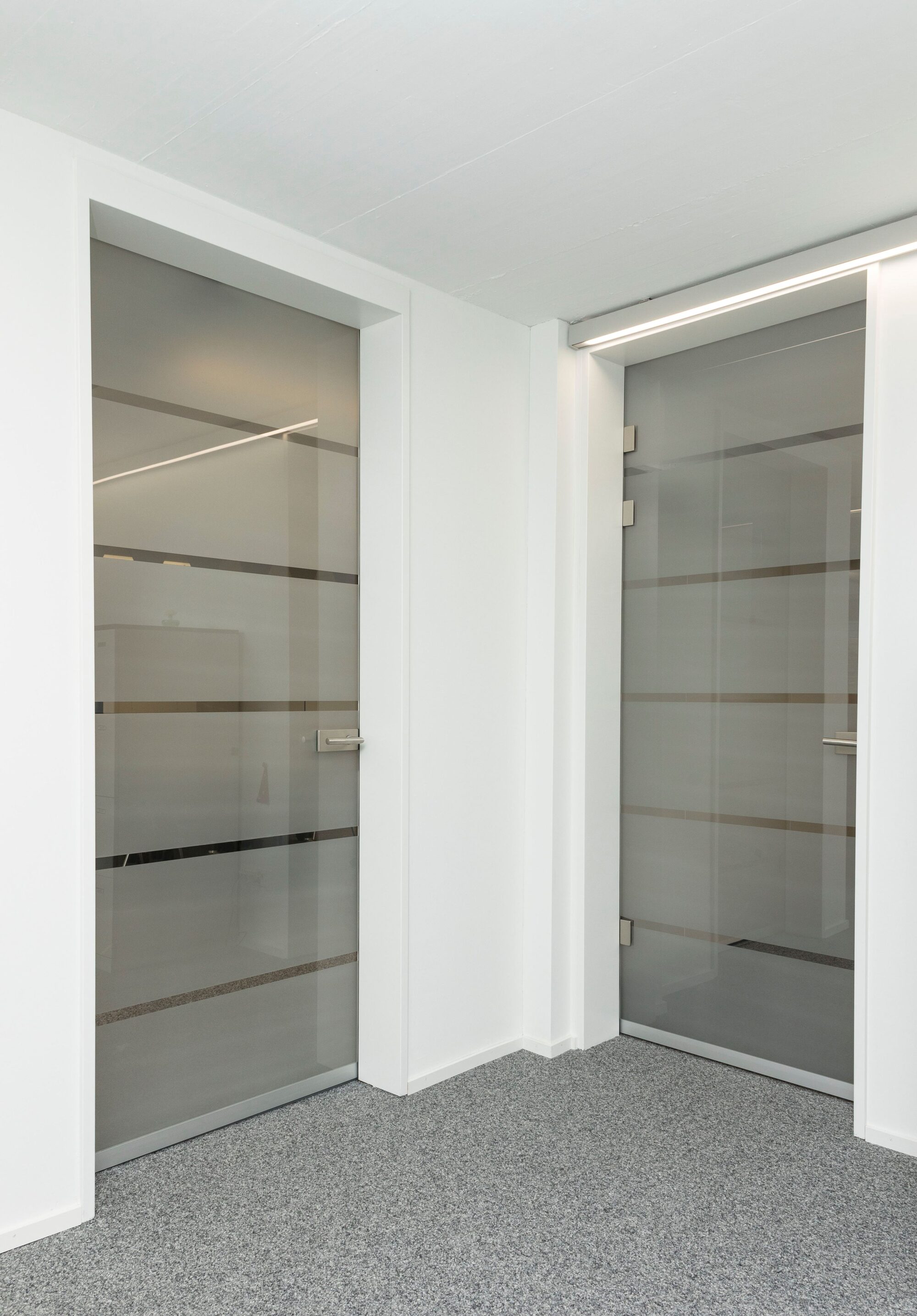 BAFRI AG :: Ganzglastüren